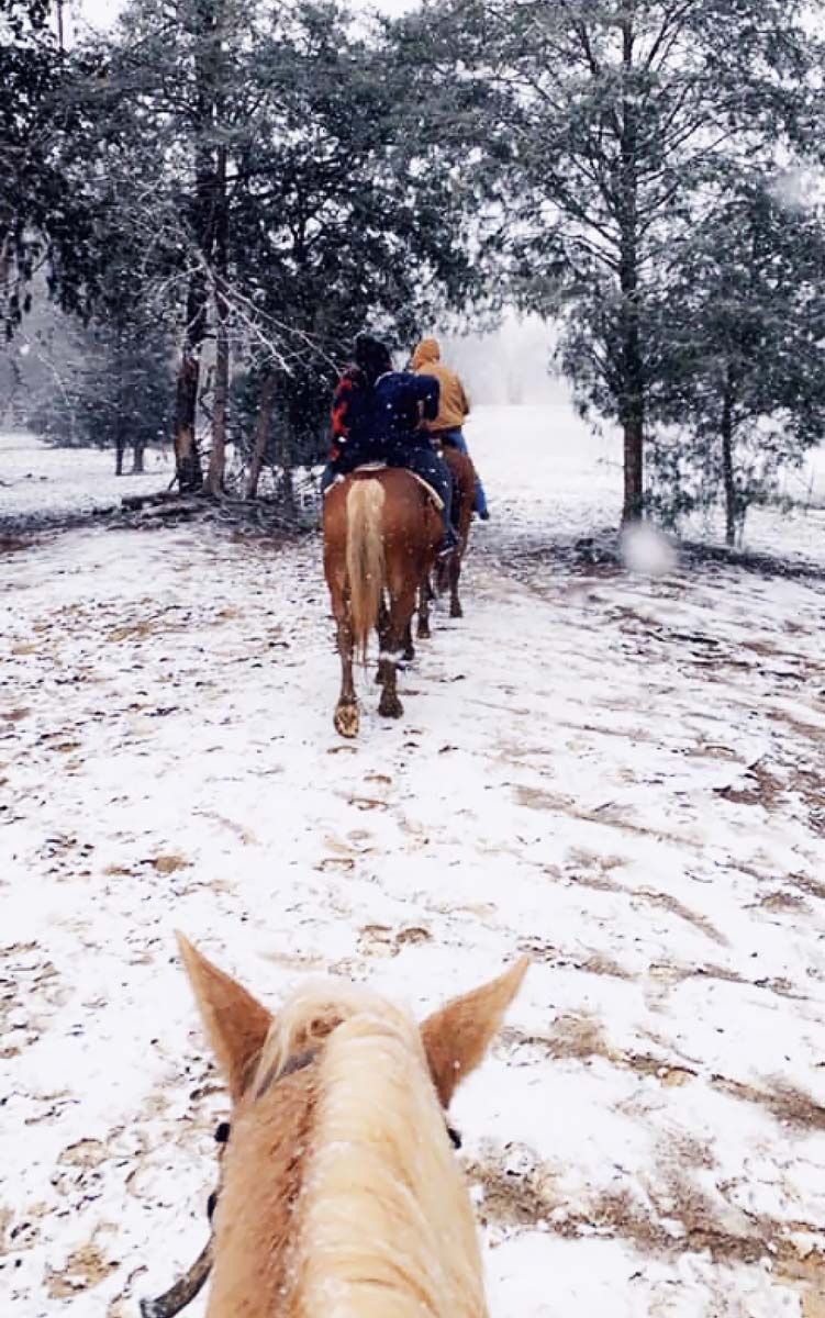 Adventures - Jayell Ranch Family Adventure Park