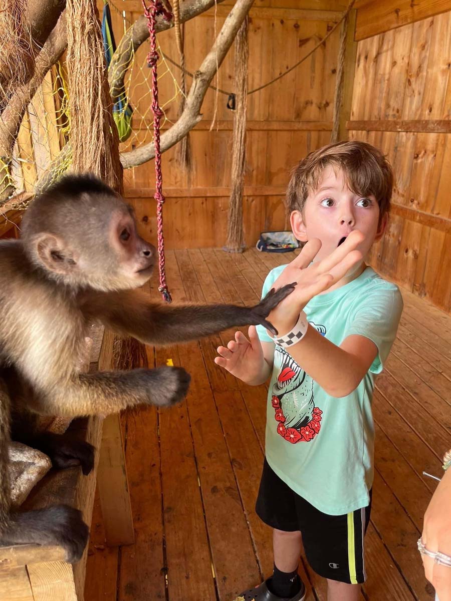 Adventures - Jayell Ranch Family Adventure Park