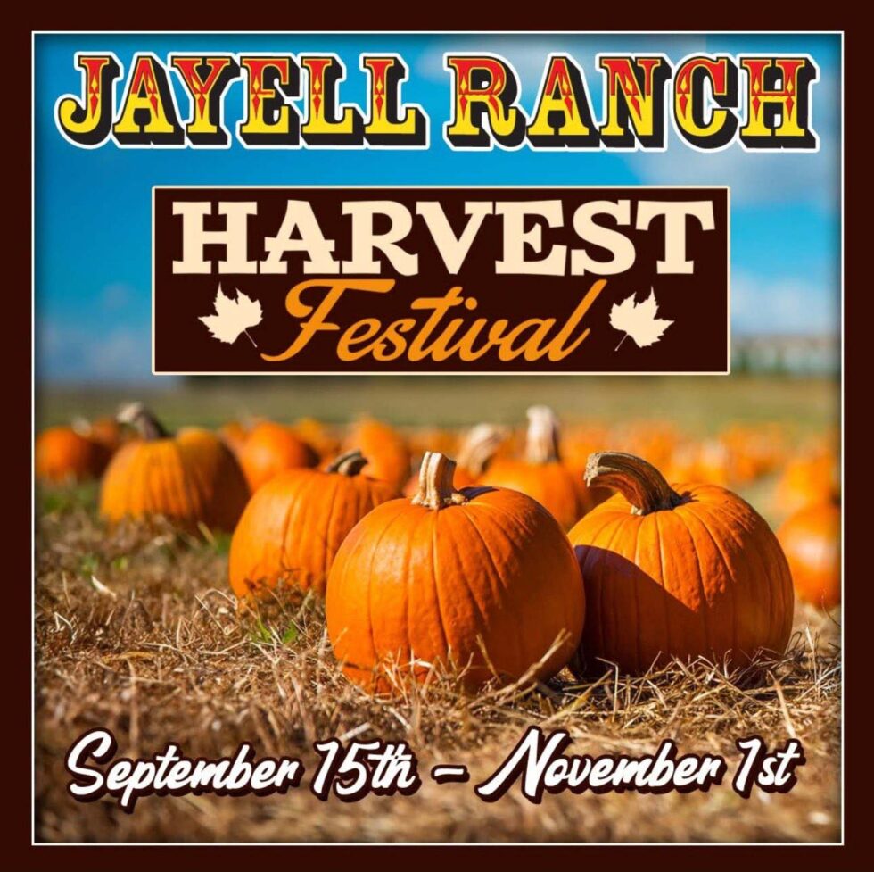 Jayell Ranch Family Adventure Park